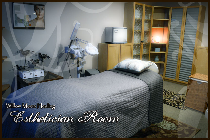 Willow Moon Healing – Michelle Felux CMT, NCTMB (571) 606-0026